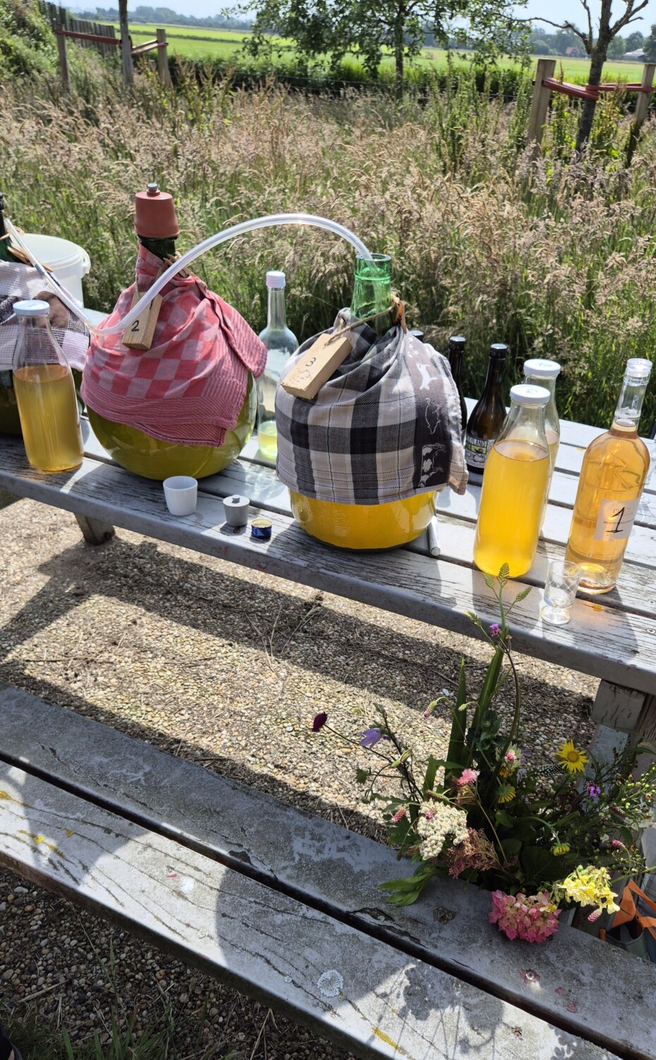 Wieringer Eiland Museum Jan Lont